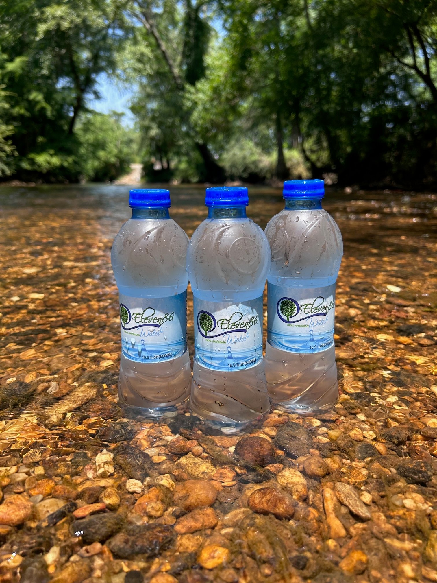 Eleven86 Real Artesian Water